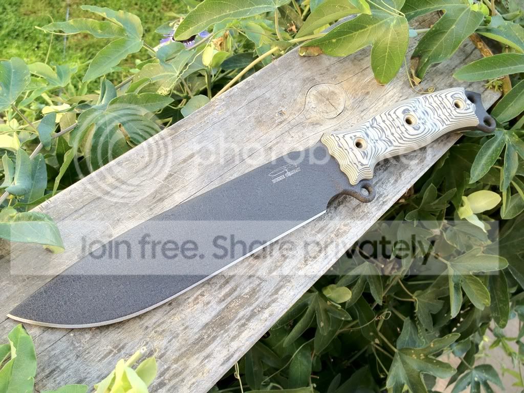 Favorite Knife? | Page 3 | BladeForums.com