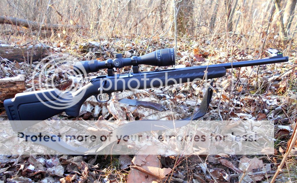 22LR Bush Rifle Needed | Bushcraft USA Forums
