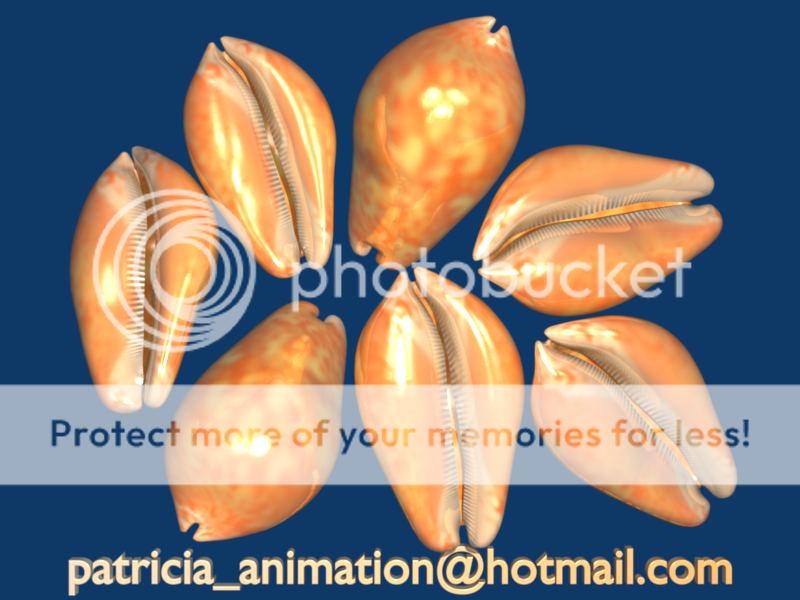 Cowry Shells 3D Model - Finished Projects - Blender Artists Community