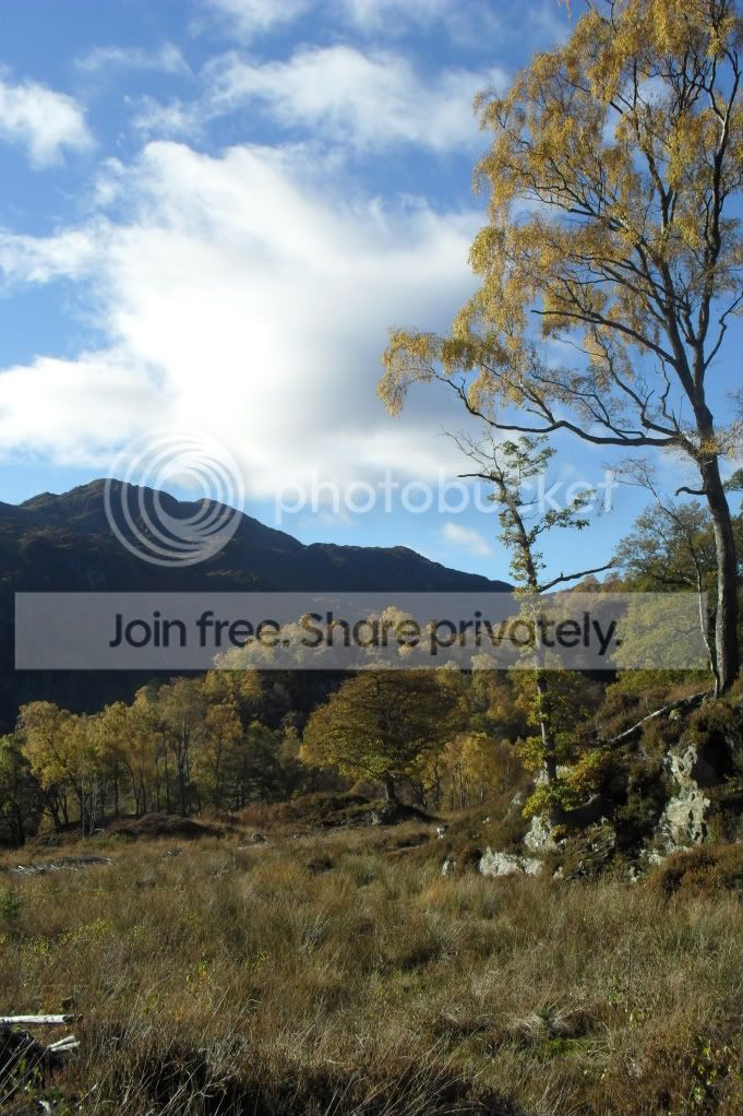 Walk Report - Ben Venue • Walkhighlands